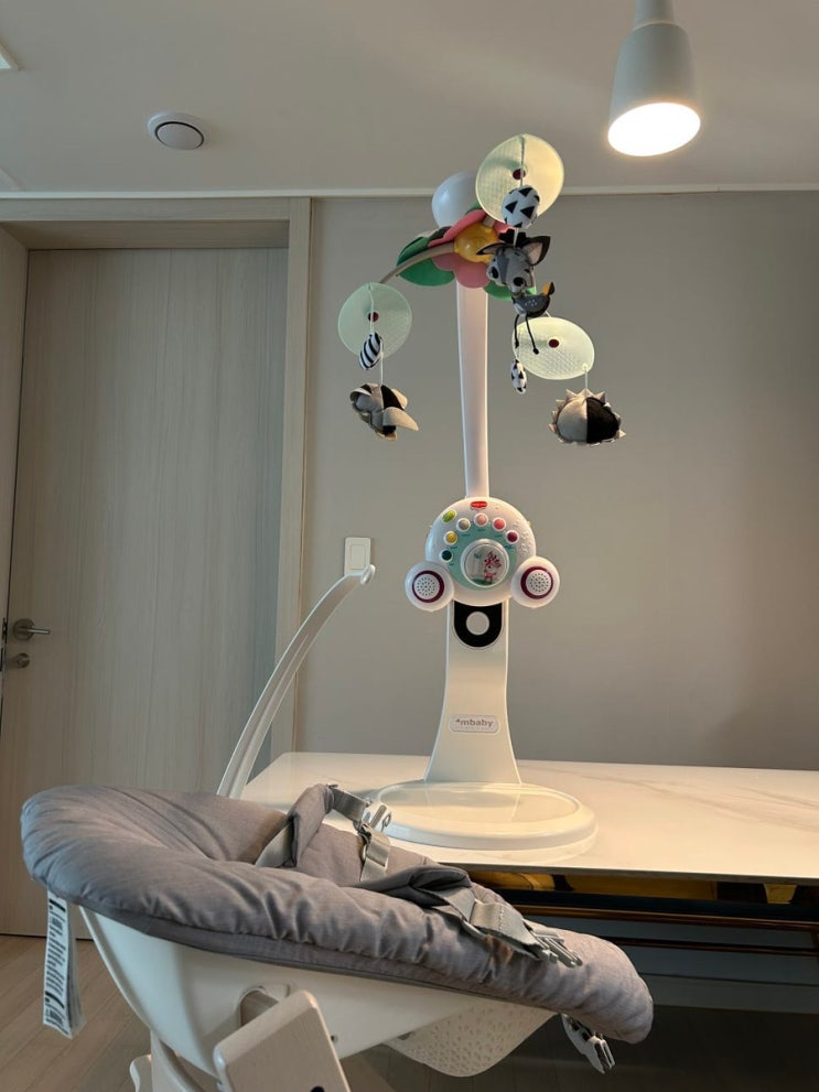 아기와나 타이니모빌 대여 후기 : 네이버 블로그