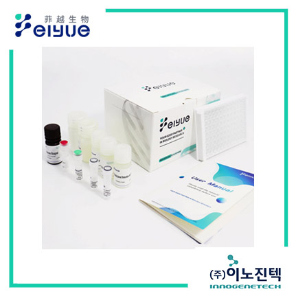 [ELISA Kits TOP100] Human VEGF-A(Vascular Endothelial Cell Growth ...