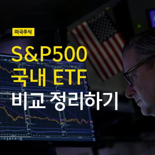 국내 S&P500 ETF 비교 (feat. 타이거, 코덱스, 에이스, 라이즈) : 네이버 블로그