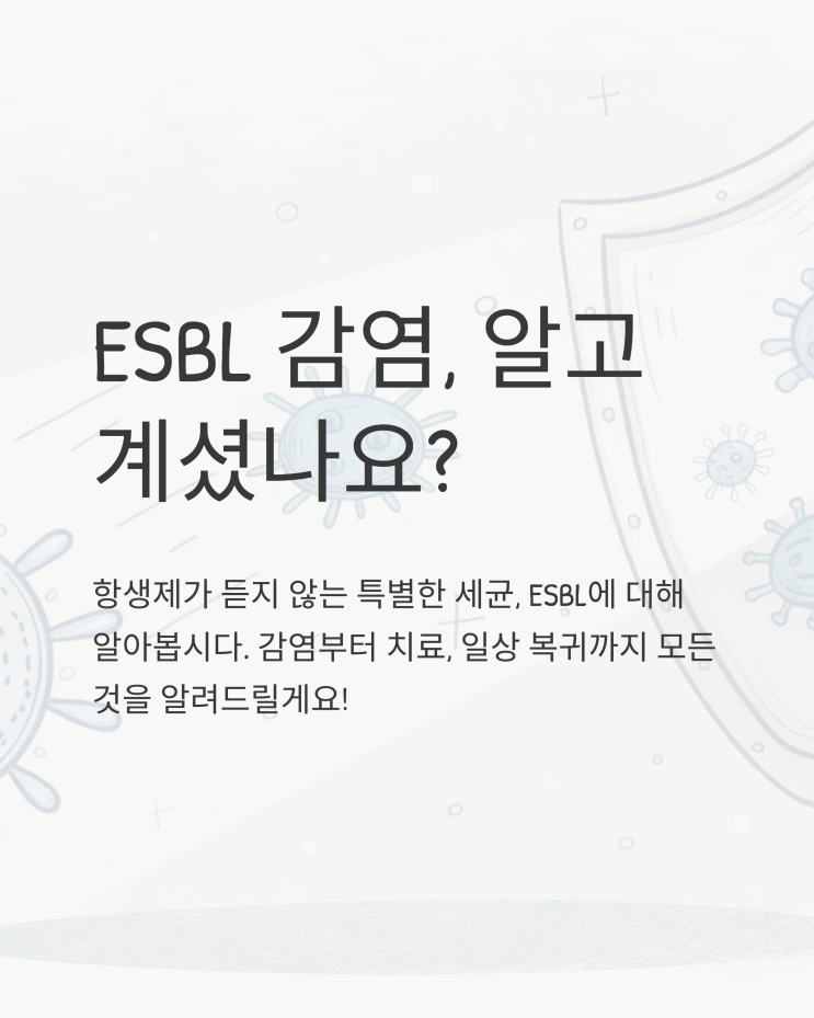 의학용어 ESBL 감염, 증상 치료 격리 해제 다시 일상으로 : 네이버 블로그