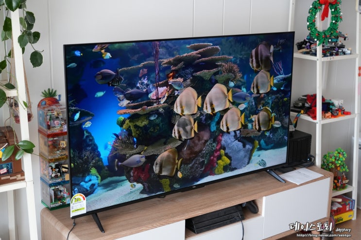TCL 신모델 T6C 55인치 4K QLED TV 생생한 색감과 스마트 기능 만족! : 네이버 블로그