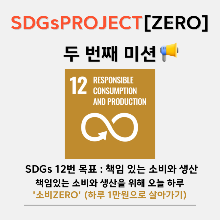 [굿네이버스] SDGs PROJECT [ZERO] 두 번째 활동 후기 : 네이버 블로그