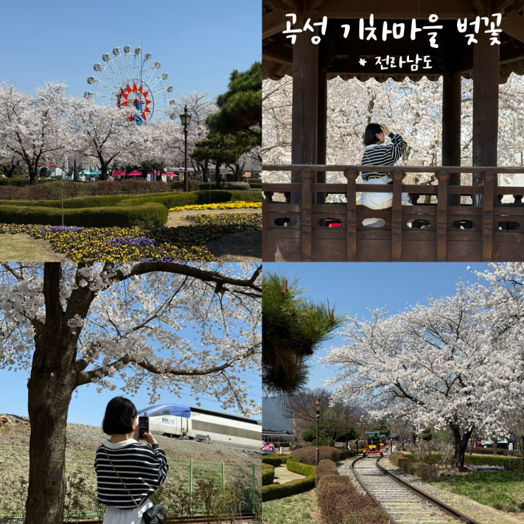 전남 곡성 섬진강 기차마을 벚꽃 여행 가볼만한곳 네이버 블로그