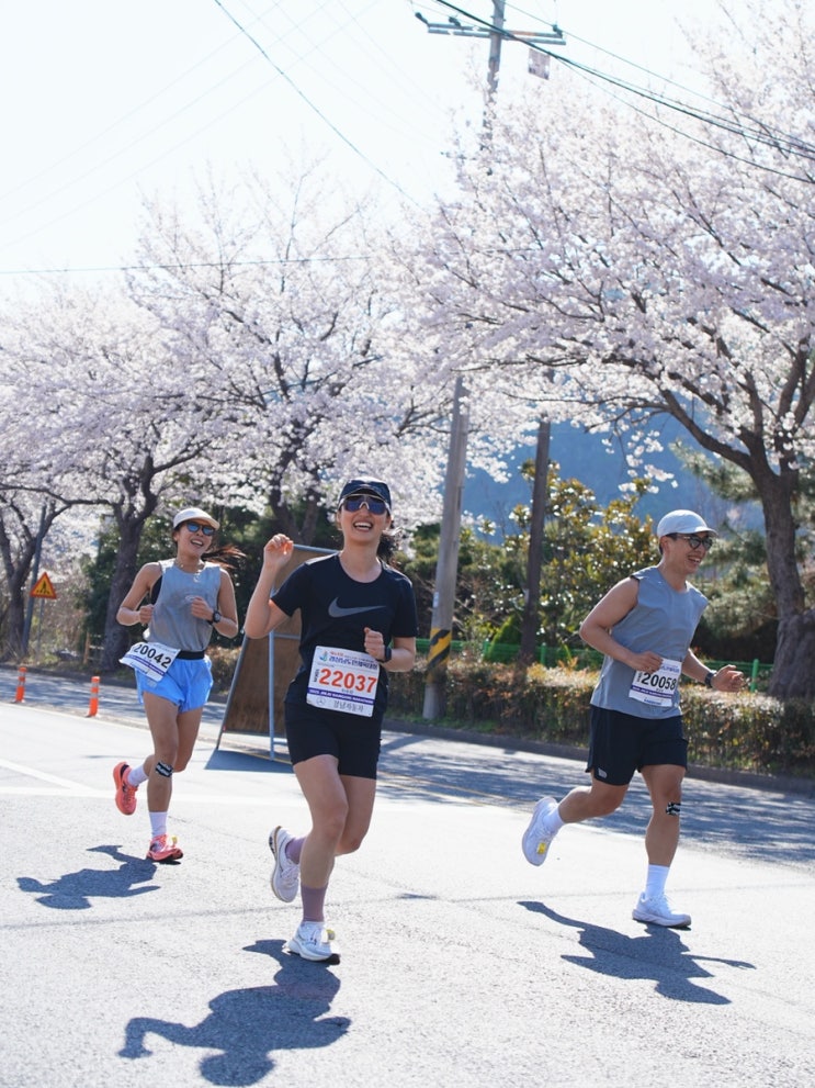 2025 진주 남강 마라톤 벚꽃아래 10km PB후기 : 네이버 블로그