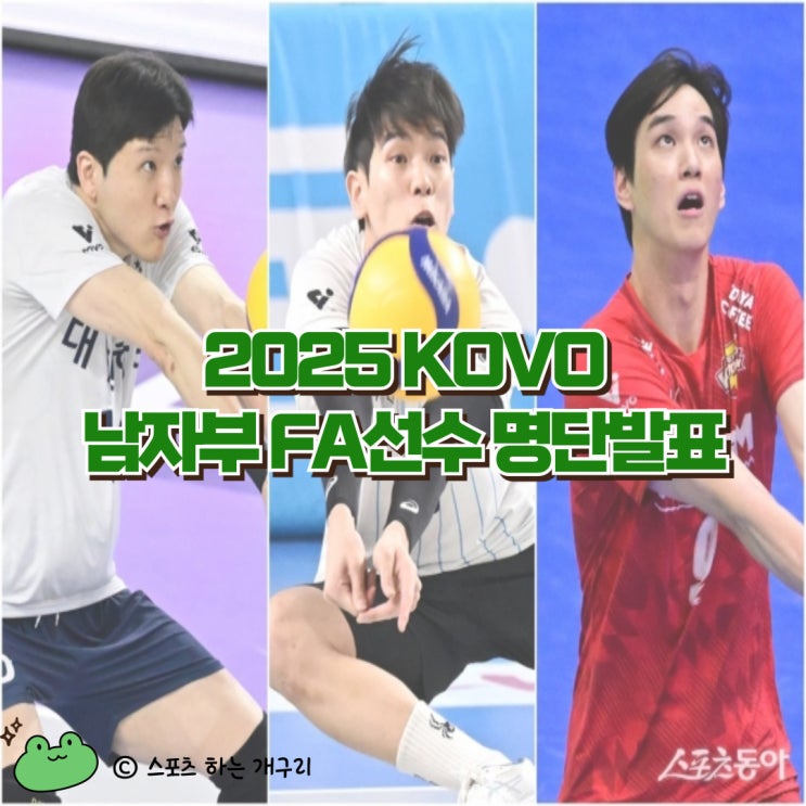 [배구이야기] 2025 KOVO 남자부 FA명단 공개, 어떤 선수들이 있을까? : 네이버 블로그