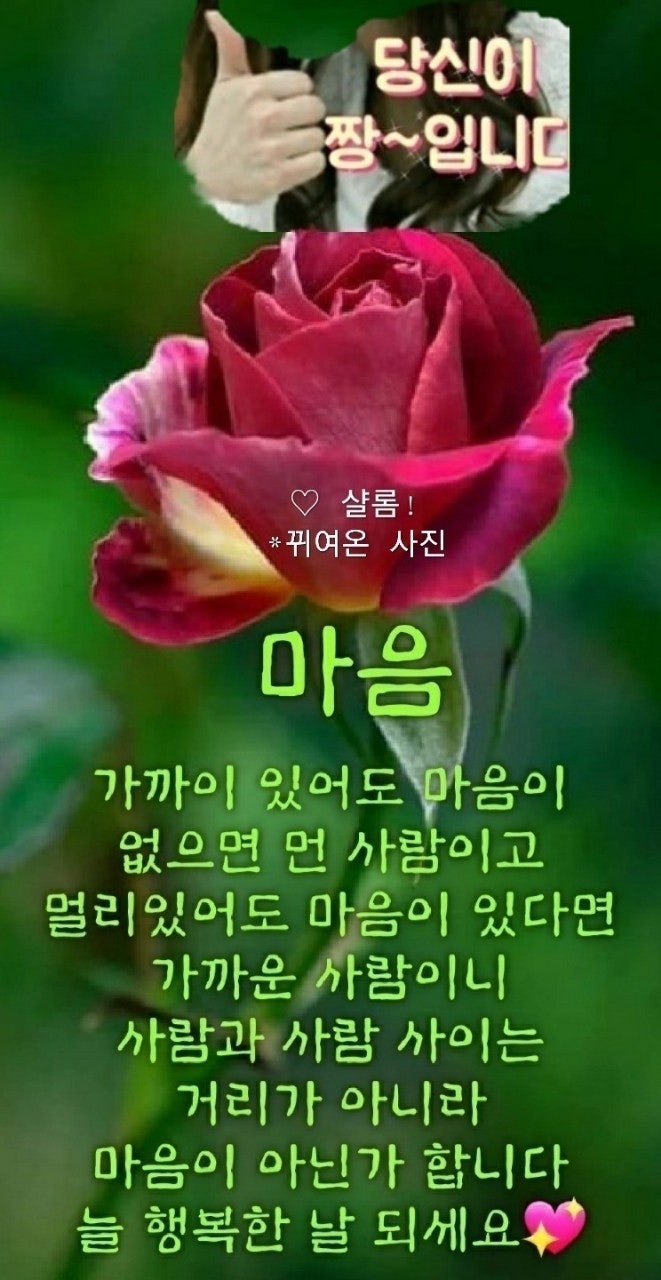 ️두개의 꽃병 : 네이버 블로그