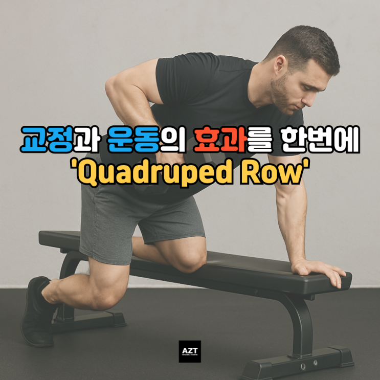 헬리오시티pt 교정과 운동의 효과를 한 번에 'Quadruped Row' : 네이버 블로그