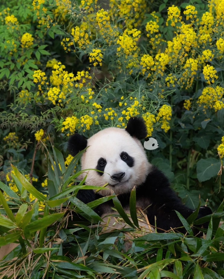 2025 (7) : 네이버 블로그