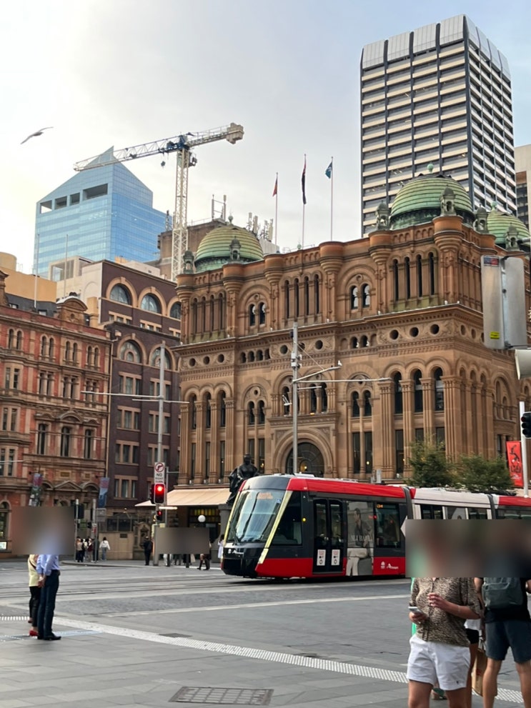 [호주여행7] 시드니에서 브런치를 barista vs chef, 시드니 주립 미술관, 로열 보태닉 가든, QVB 퀸 빅토리아 ...