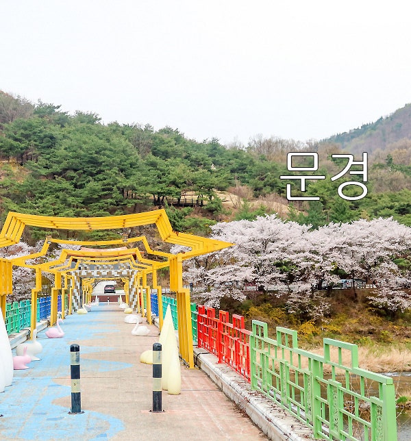 경북 문경 가볼만한곳 문경 벚꽃 명소 진남교반 레일바이크 네이버 블로그