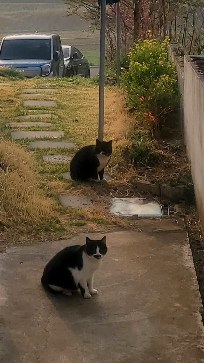 덕분에 & 때문에 : 네이버 블로그