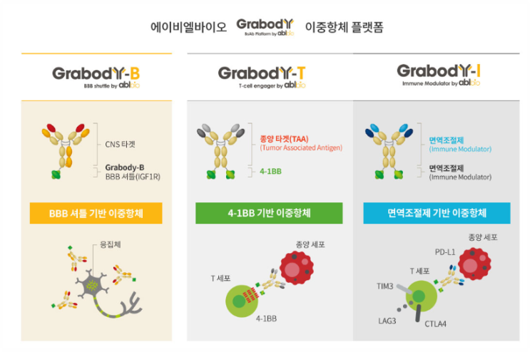 ABL Bio의 이중항체 플랫폼: Grabody 기술 기반의 차세대 바이오 치료 전략 : 네이버 블로그