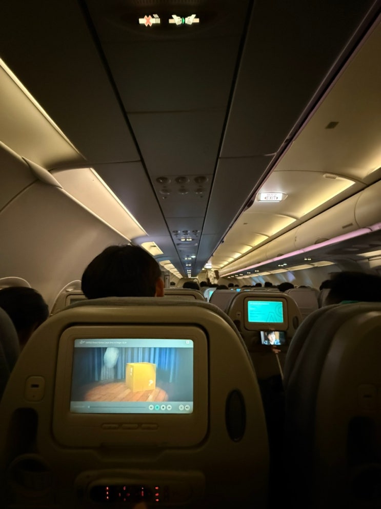 보홀행 에어서울 RS581 가격,자리,꿀팁 후기 ️& 서울행 RS582 후기 : 네이버 블로그