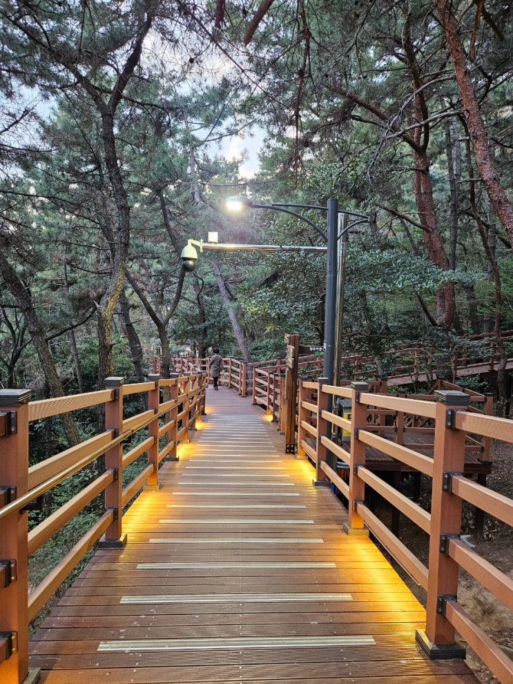 부산 산책하기 아주좋은 곳::부산 개금숲길공원 : 네이버 블로그