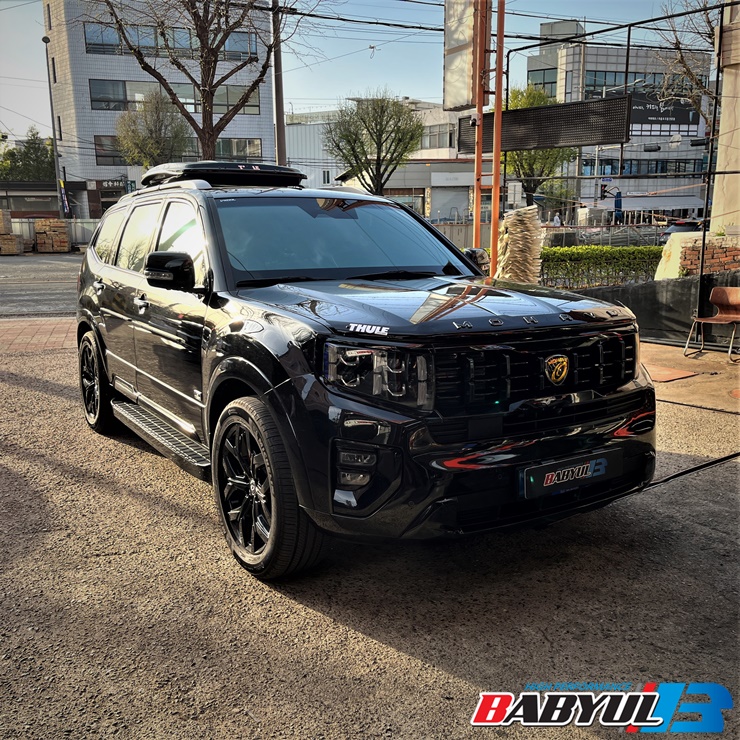 기아 모하비 더마스터 CSR 6T(6P)브레이크 세트 장착,강화 실리콘 호스 장착 : 네이버 블로그