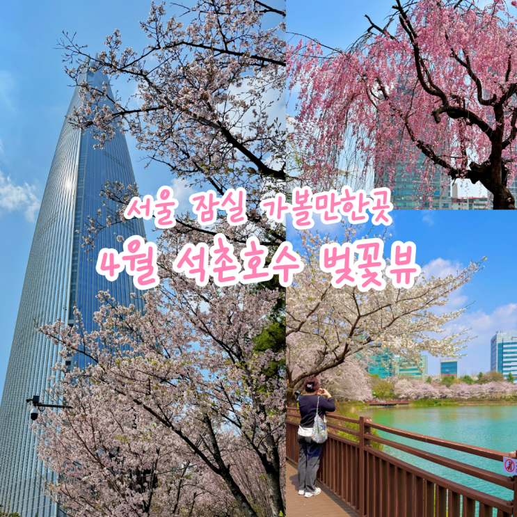 석촌호수 벚꽃 실시간개화 잠실 가볼만한곳 4월 서울 롯데타워 벚꽃뷰주차축제기간 네이버 블로그