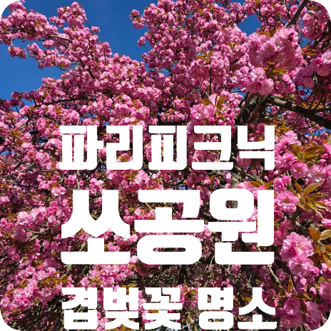쏘공원 겹벚꽃 명소 (Parc de Sceux) 프랑스 파리 피크닉 근교 여행 : 네이버 블로그