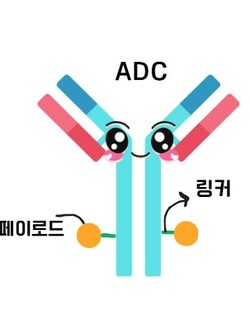 ADC보다 안전하게, PROTAC보다 정교하게… '뜨는 DAC 기술' : 네이버 블로그