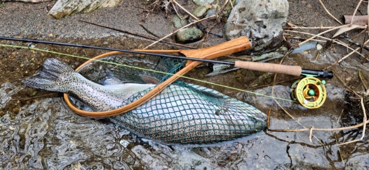 Last chance streamer - Spruce streamer fly hook~ : 네이버 블로그