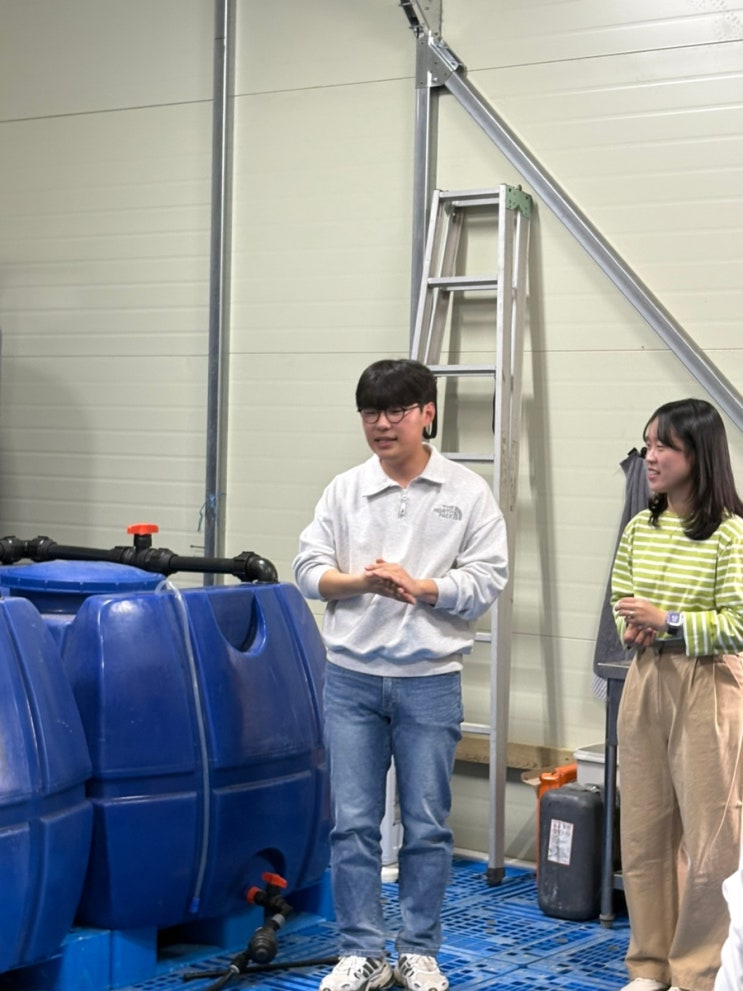 농업에 스마트팜 기술을 더해 딸기 각각에 수많은 노력을 담은 농대생 이민재 : 네이버 블로그