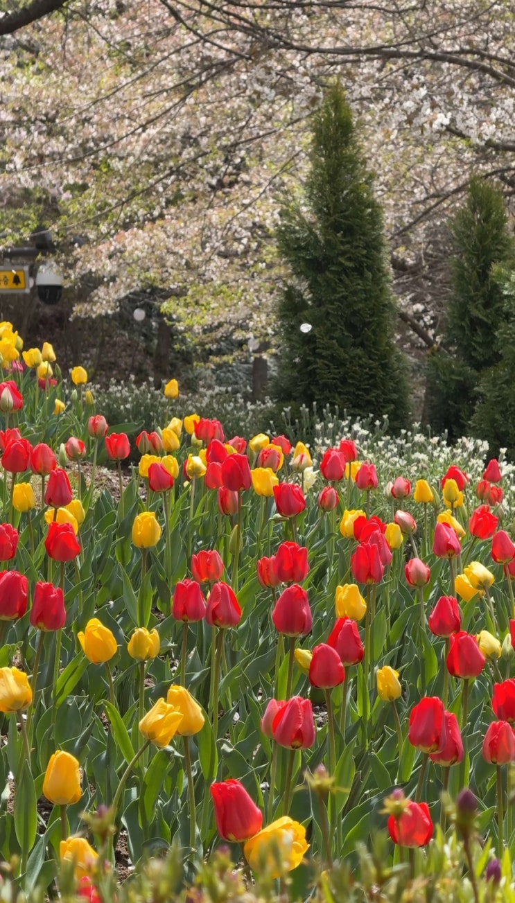 4월 (3) : 네이버 블로그