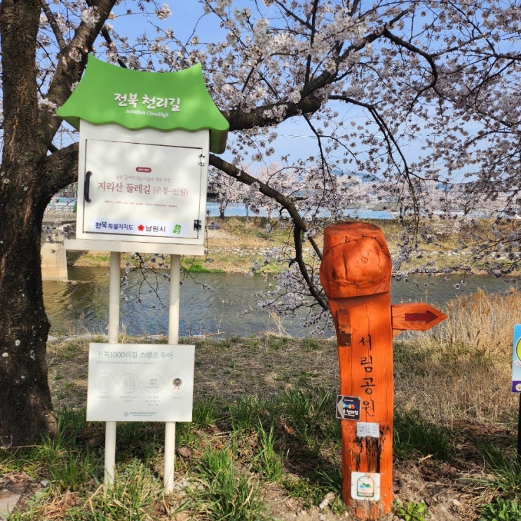 20250412 지리산 둘레길 2코스 4월 벚꽃/진달래 최고(운봉-인월) : 네이버 블로그