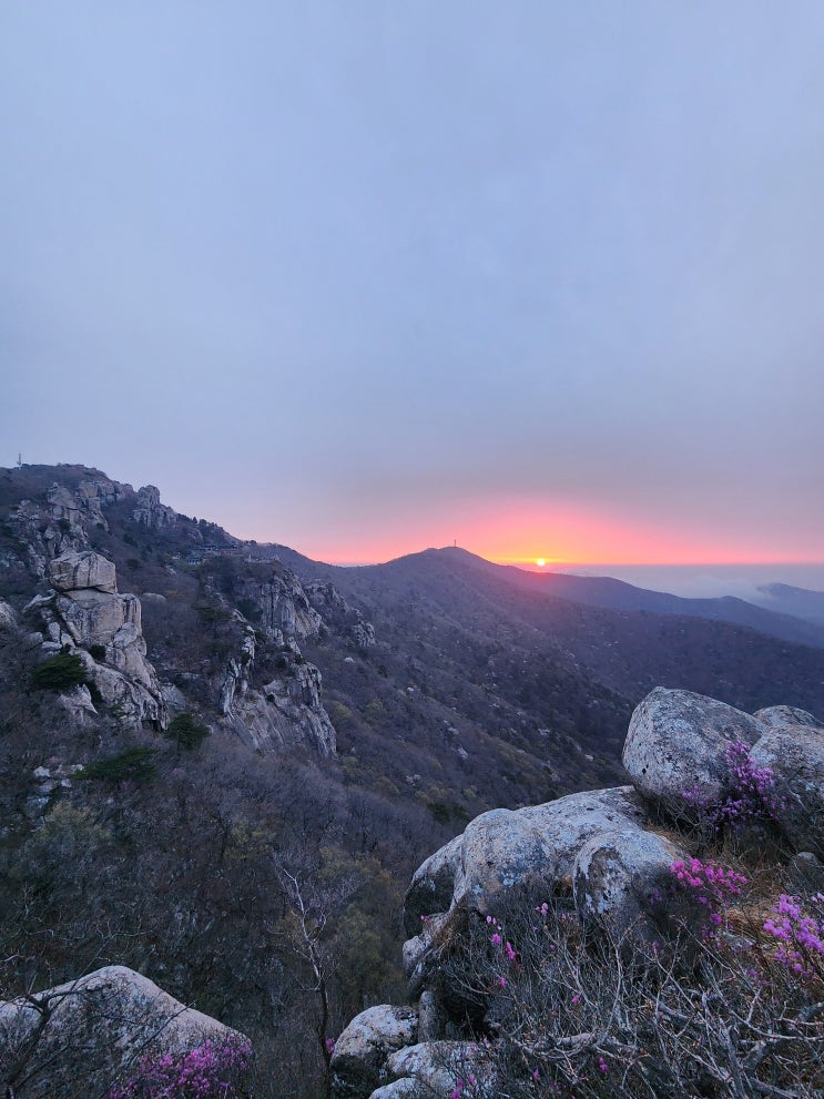 20250412_남해금산_한려해상국립공원_두모주차장->금산탐방지원센터_다랭이마을 : 네이버 블로그