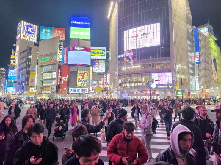 [도쿄] 4박 5일여행 (2) : 네이버 블로그