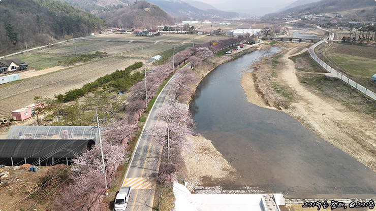 시간이 더 필요한 벚꽃캠핑, 천안 은석교 : 네이버 블로그