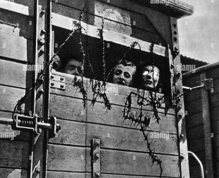 Night Elie Wiesel_나이트 앨리 바젤_ chapter 7 : 네이버 블로그