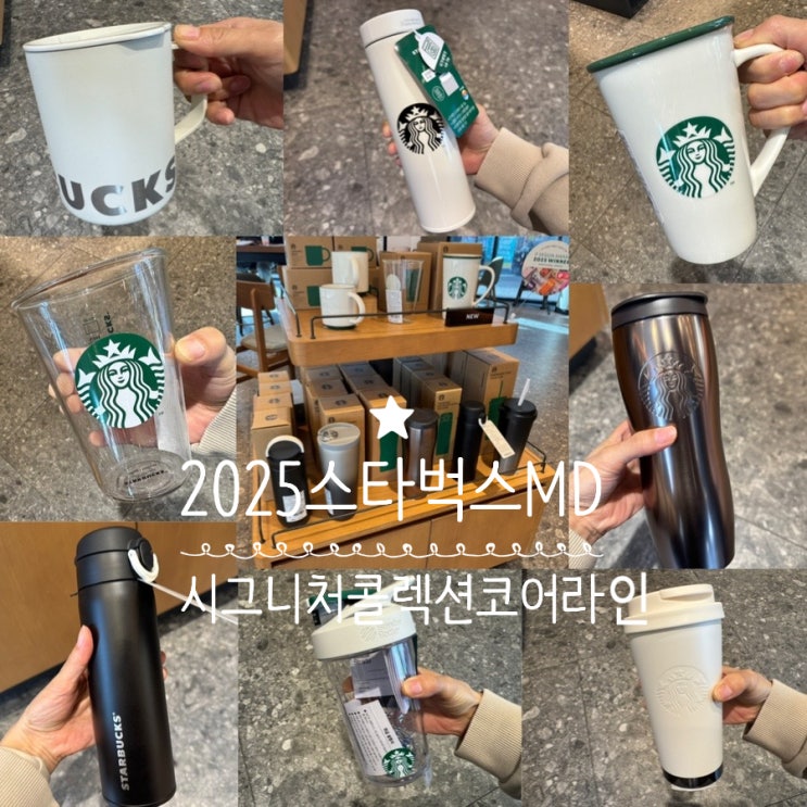 2025스타벅스 SIGNATURE COLLECTION CORE MD 시그니처 컬렉션 코어엠디 실물사진 새롭게 출시한 데일리로 ...