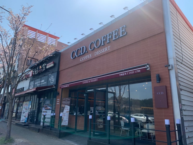 [통영 CCD. COFFEE] 유니크한 죽림해안로 신상 카페 : 네이버 블로그