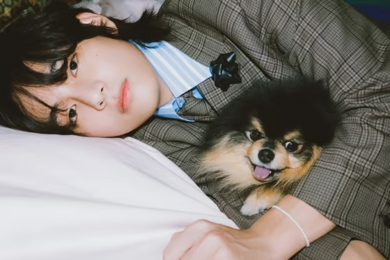 [방탄소년단 뷔] 하늘의 별 됐지만 여전히 ♥..방탄소년단 뷔 반려견 연탄, 빌보드 '전 세계에서 가장 사랑받는 ★반려동물 ...