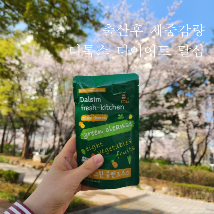 디톡스 다이어트 달심 출산 후 체중감량 운동 네이버 블로그
