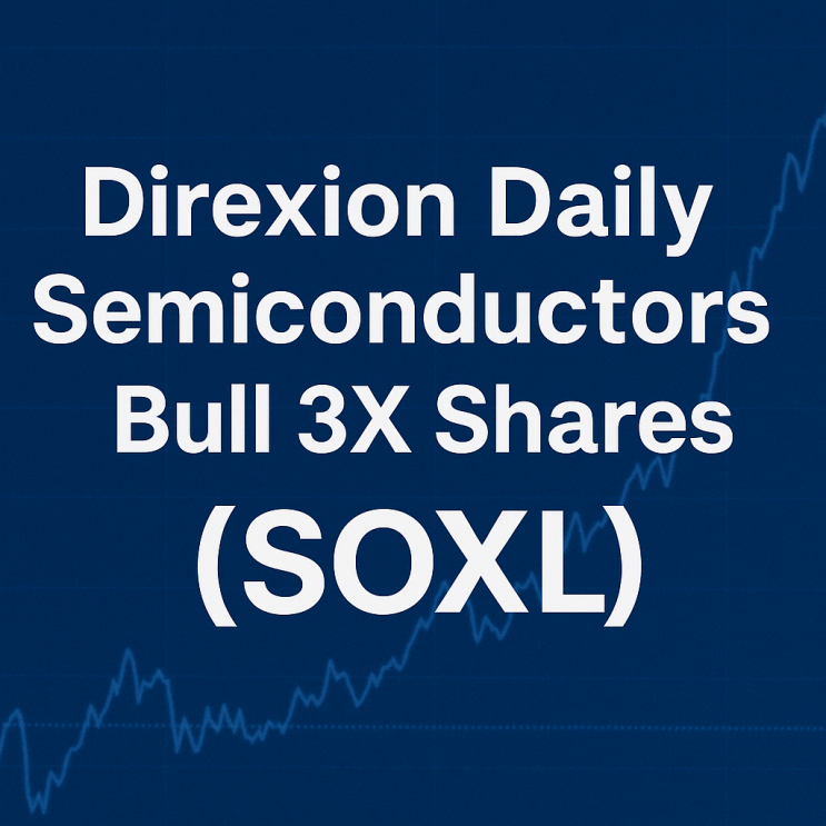 Direxion Daily Semiconductors Bull 3X Shares (SOXL) 완벽 분석 : 네이버 블로그