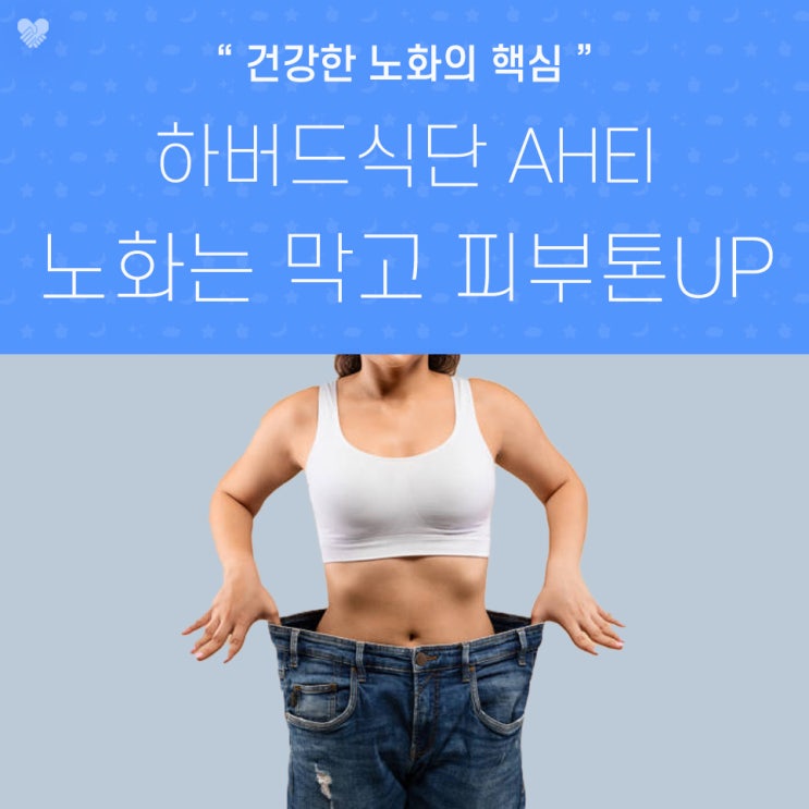 건강한 하버드 식단 AHEI 70세에도 쌩쌩한비결 노화 아침 점심 저녁 Harvard Diet 다이어트 : 네이버 블로그