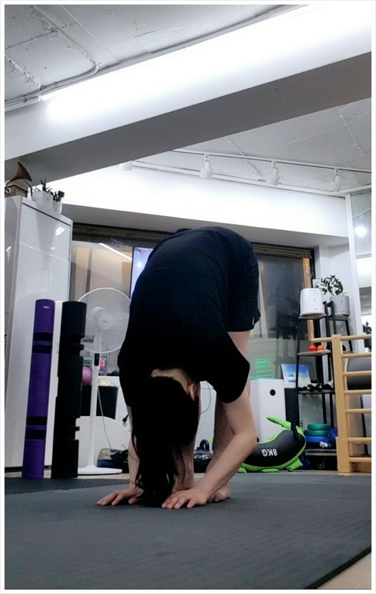 선릉역 자세교정 포그로스 선릉 핫한 뇌과학 재활운동 맛집 Feat Pmrf 네이버 블로그