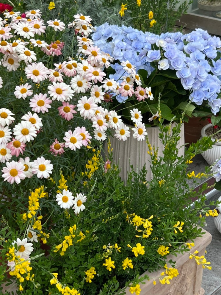 뽀미에요 : 네이버 블로그