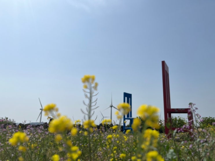 2025년의봄봄 : 네이버 블로그