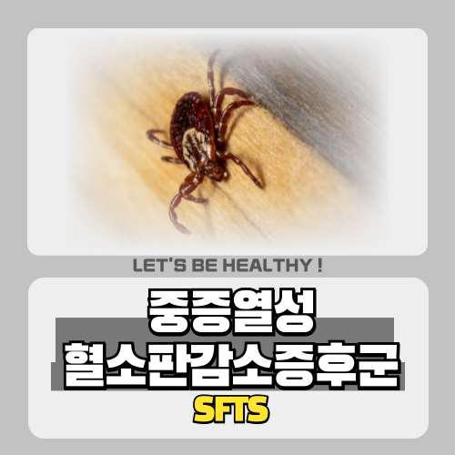 참진드기 조심, 중증 열성 혈소판 감소 증후군(SFTS) 원인과 예방 : 네이버 블로그