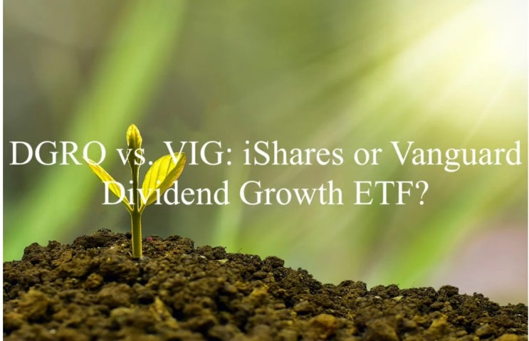 DGRO vs VIG ; 배당주는 ETF 중에서 최고봉은?? : 네이버 블로그