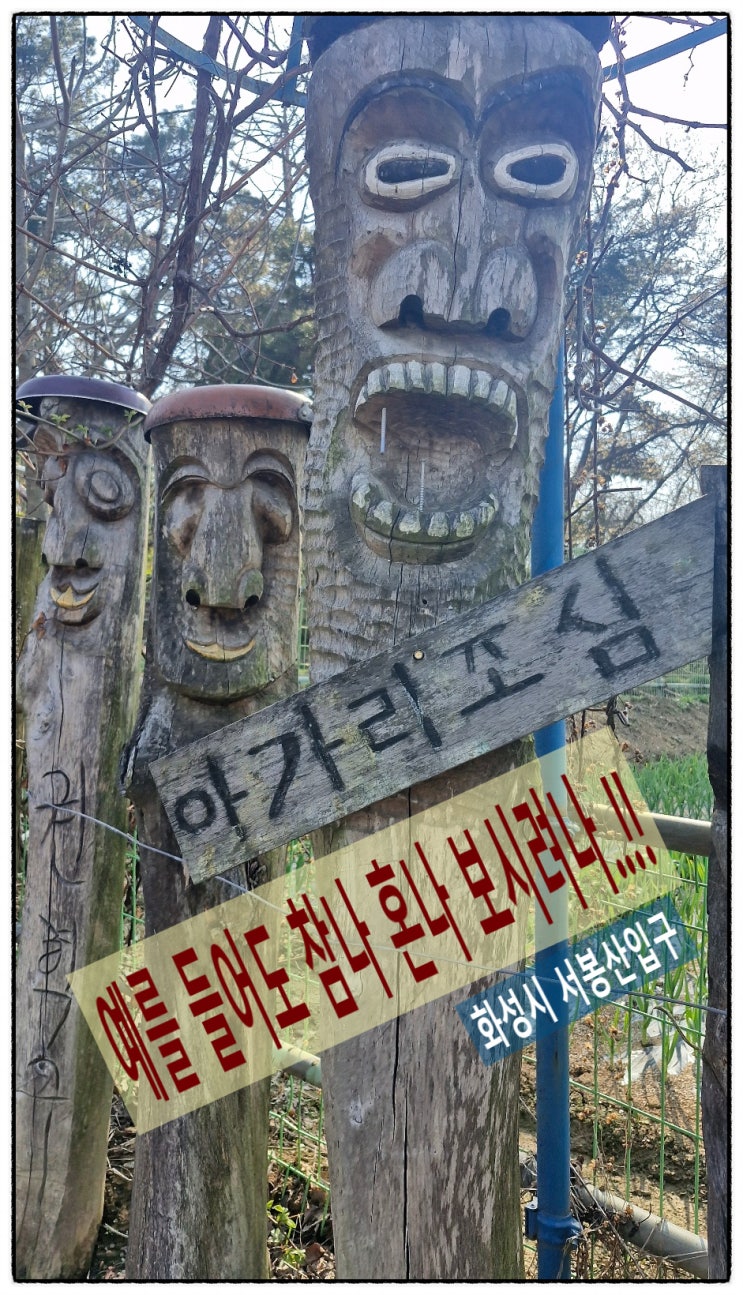 일 년에 단 하루, 세상을 볼 수 있다면 상상과 단상 : 네이버 블로그