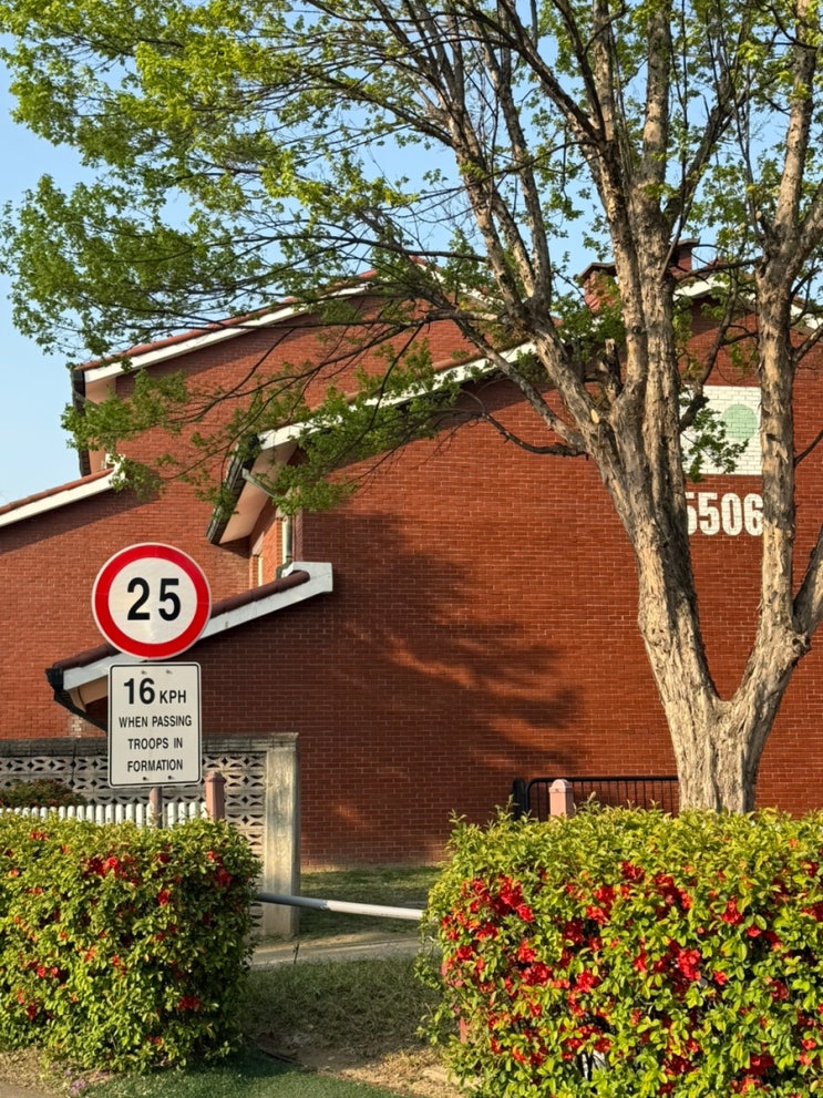 서울 용산 핫플 용산가족공원 피크닉, 미군기지 장교숙소 5단지 부분개방부지 포토존 : 네이버 블로그