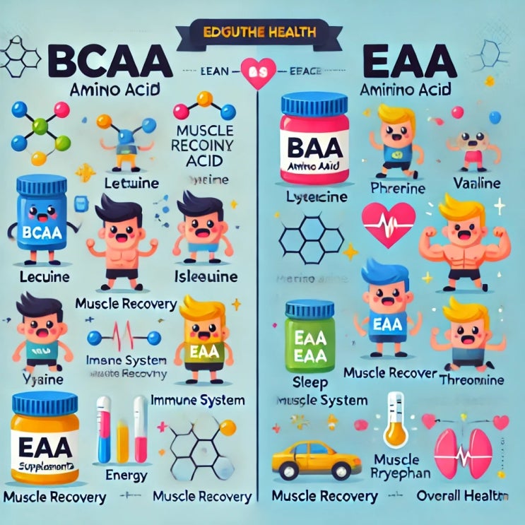 BCAA와 EAA의 차이: 어떤 아미노산 보충제가 나에게 맞을까? : 네이버 블로그