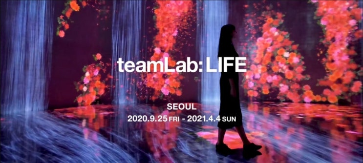 [DDP] "팀랩라이프 (teamLab: LIFE)" 인터랙티브 미디어아트 전시 📽️ : 네이버 블로그
