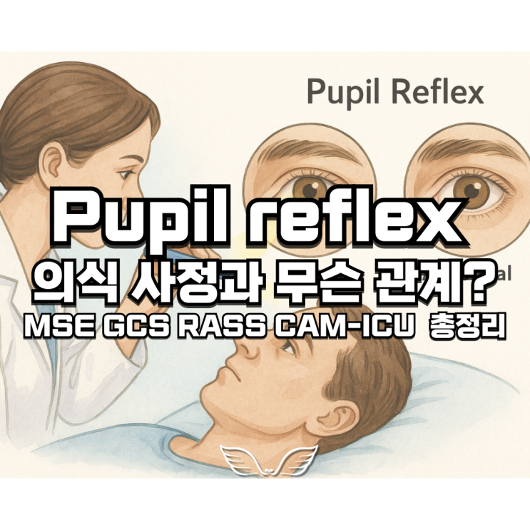 Pupil reflex 의식 사정과 무슨 관계일까? MSE GCS RASS CAM-ICU 까지 총정리 : 네이버 블로그