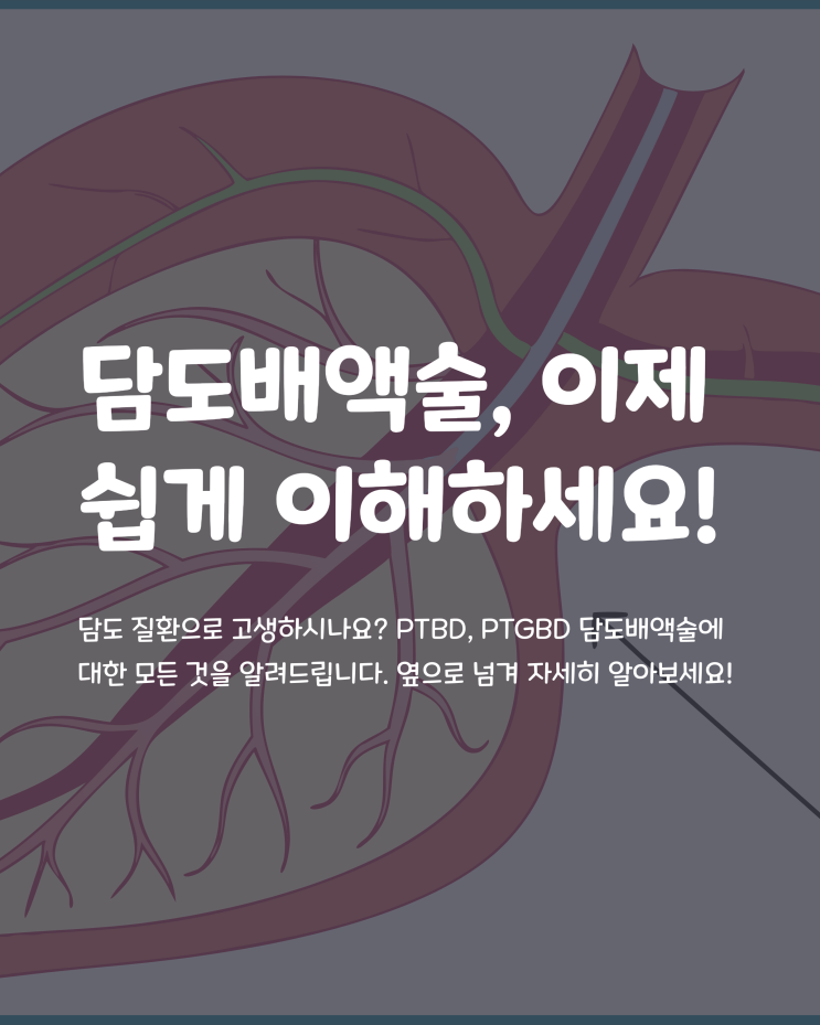 의학용어 PTBD & PTGBD 차이 담도배액술 적응증부터 관리법까지 속 시원히 알려드릴게요 : 네이버 블로그