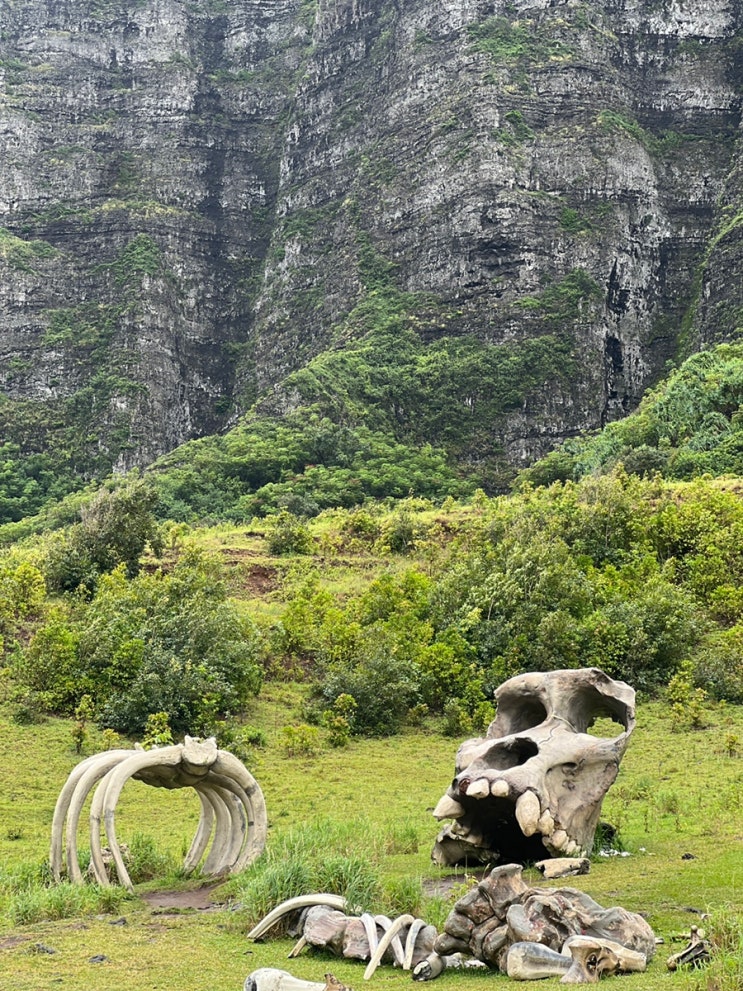 하와이 쿠알로아랜치 e-bike : 네이버 블로그