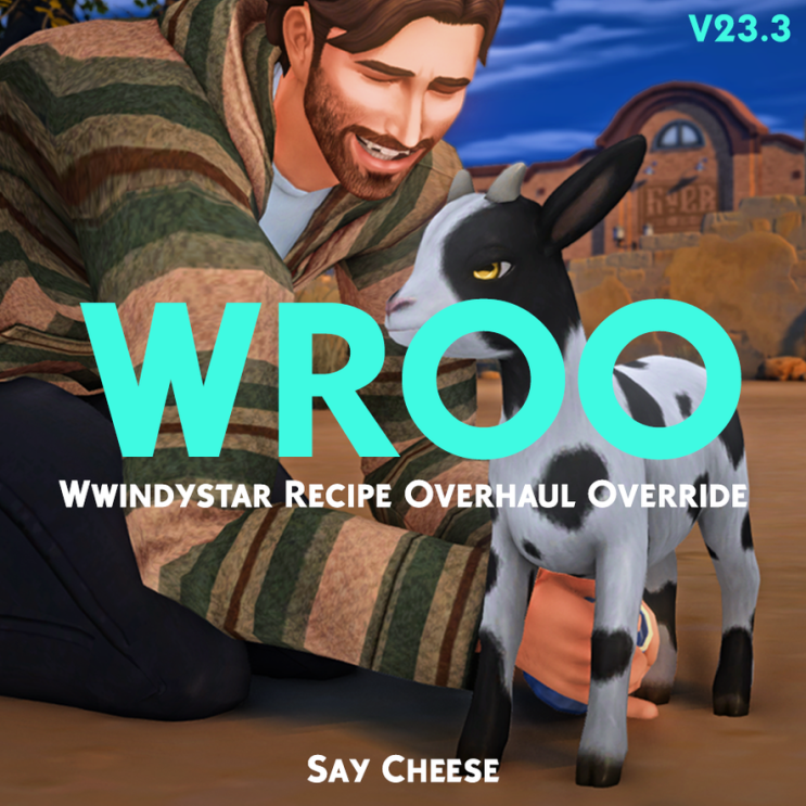 WROO 23 업데이트 노트 : 네이버 블로그