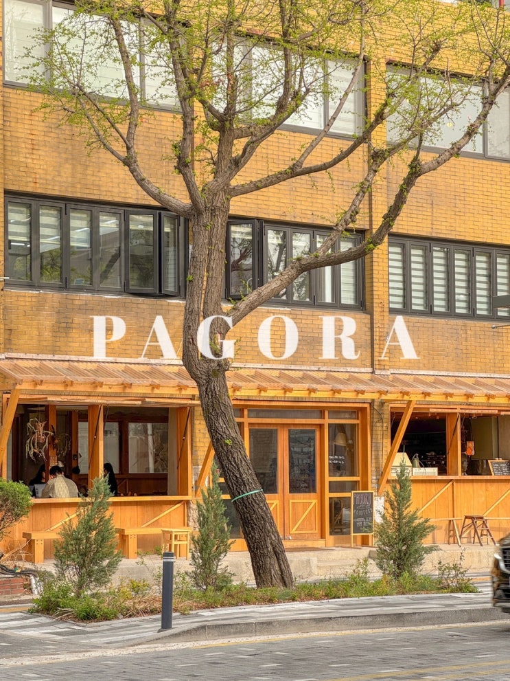 수원역 근처 옛 경기도청 분위기 좋은 감성 카페 - 파고라 Pagora : 네이버 블로그